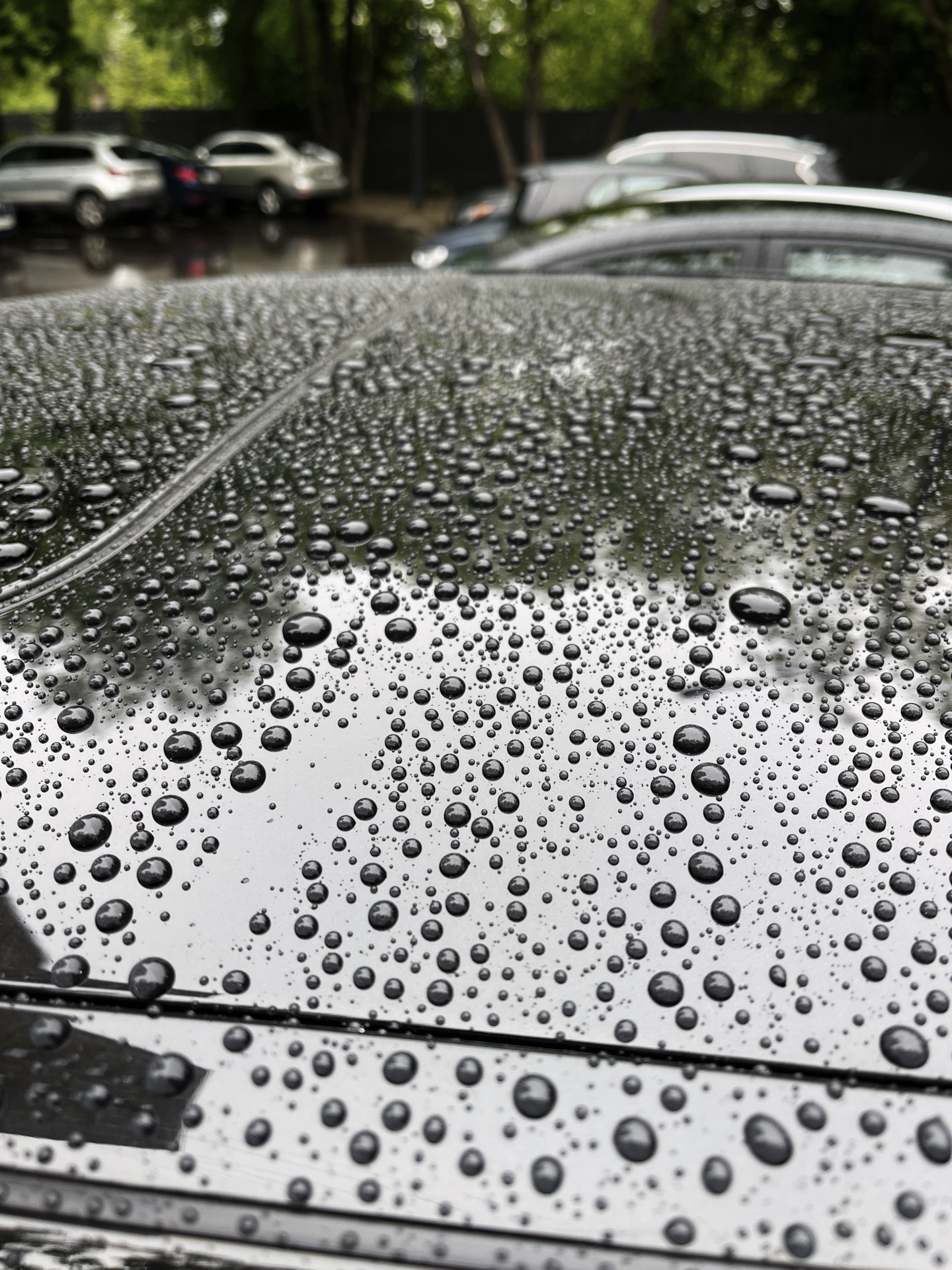 Willson Silane Guard — BMW 7 series (F01/02), 3 л, 2014 года | мойка | DRIVE2