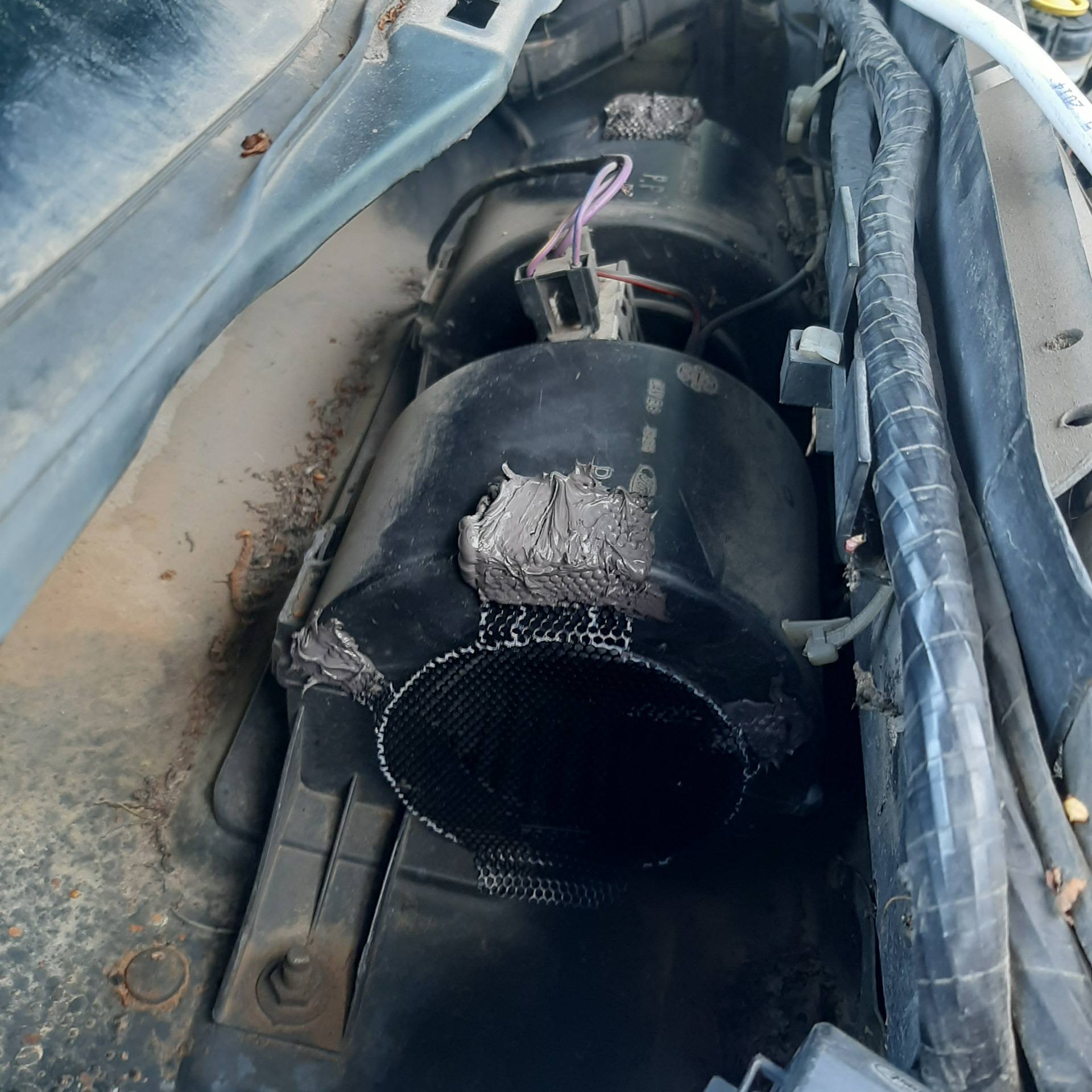 Покрасил клапанную крышку — SEAT Ibiza (021A), 1,2 л, 1991 года | аксессуары | DRIVE2