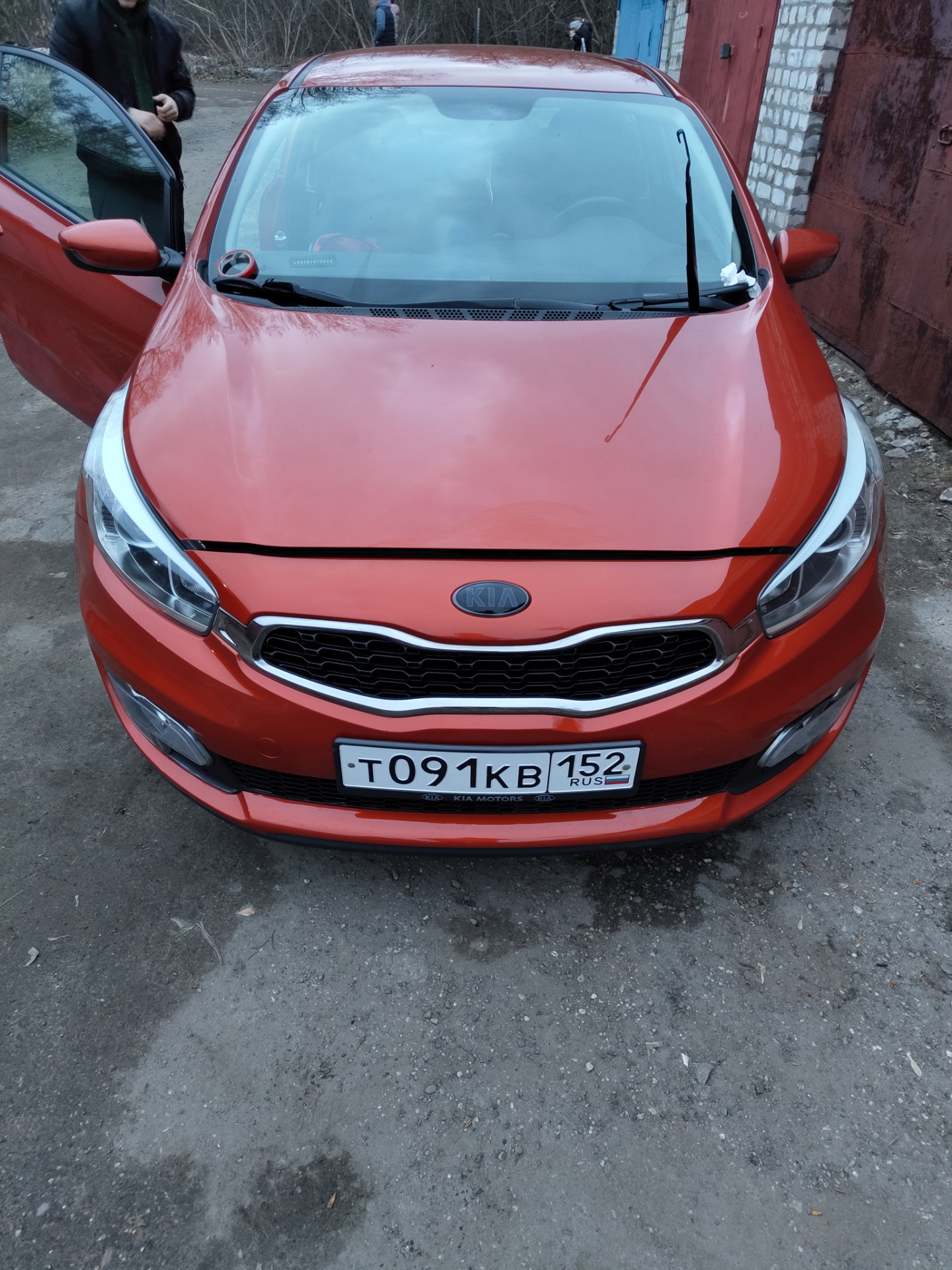 Эмблема Kia black edition — KIA Pro_Ceed (2G), 1,6 л, 2014 года ...