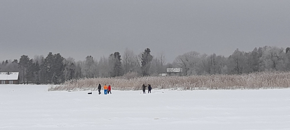 Отдых у PEPSI JÄRV (ЧУДСКОЕ ОЗЕРО). — DRIVE2