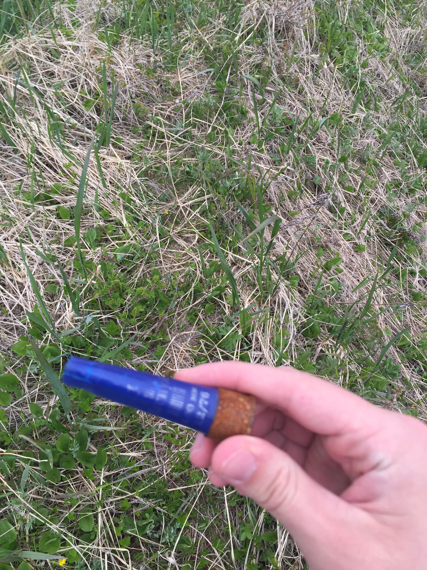 Рысь — Lada 2113, 1,5 л, 2005 года | стайлинг | DRIVE2