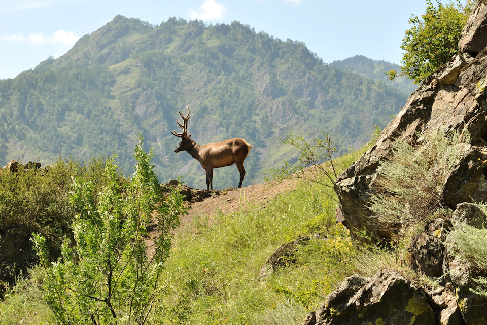 89. Противникам подкрылков посвящается. — Lada Приора хэтчбек, 1,6 л ...