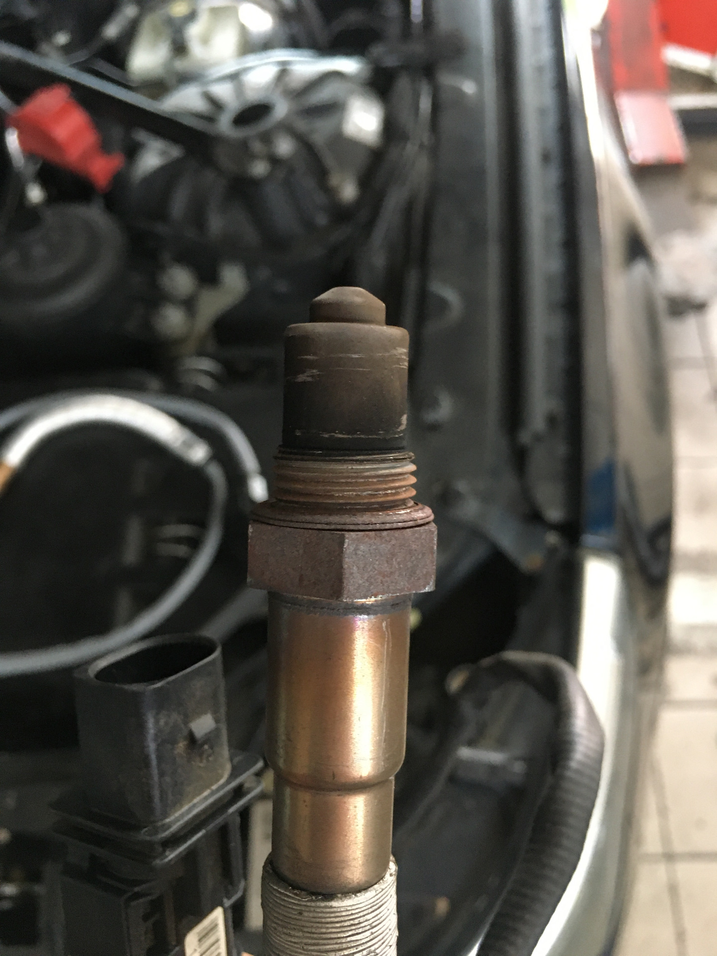 43_ замена лямбд — BMW 5 series (E60), 1,4 л, 2007 года | автозвук | DRIVE2