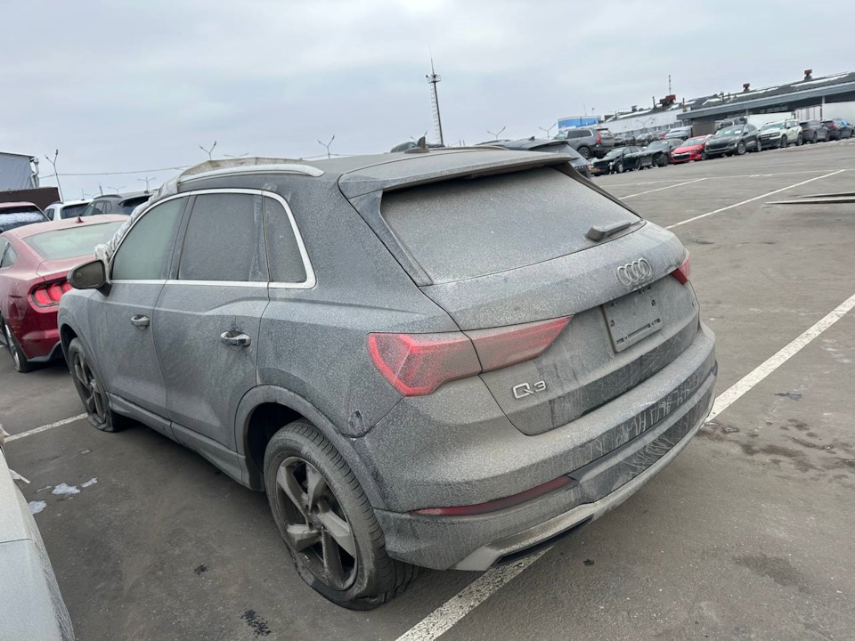 Долгожданное прибытие — Audi Q3 (2G), 2 л, 2020 года | другое | DRIVE2