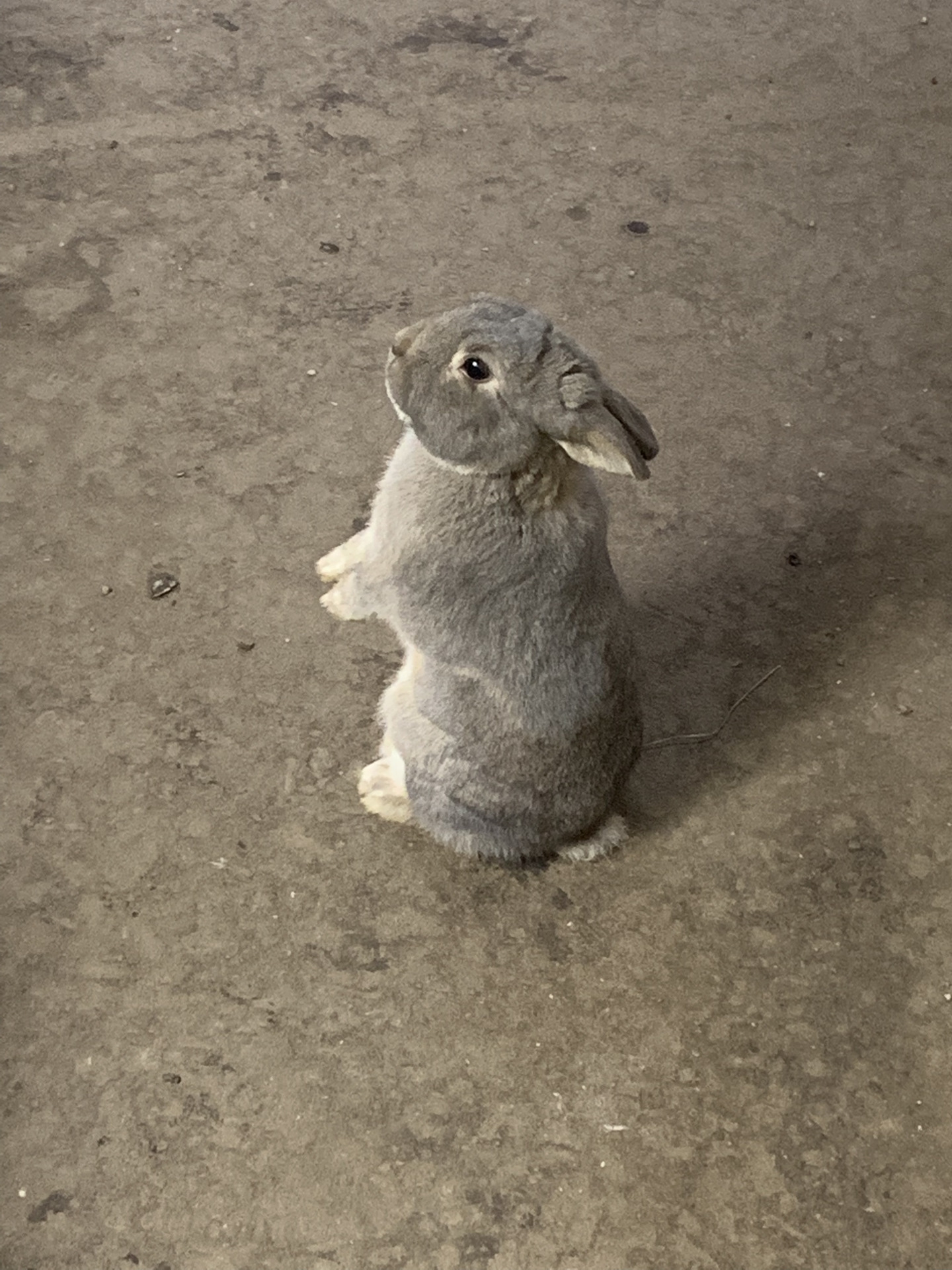 Визит в автосервис — Volvo S40 (2G), 1,6 л, 2007 года | визит на сервис ...