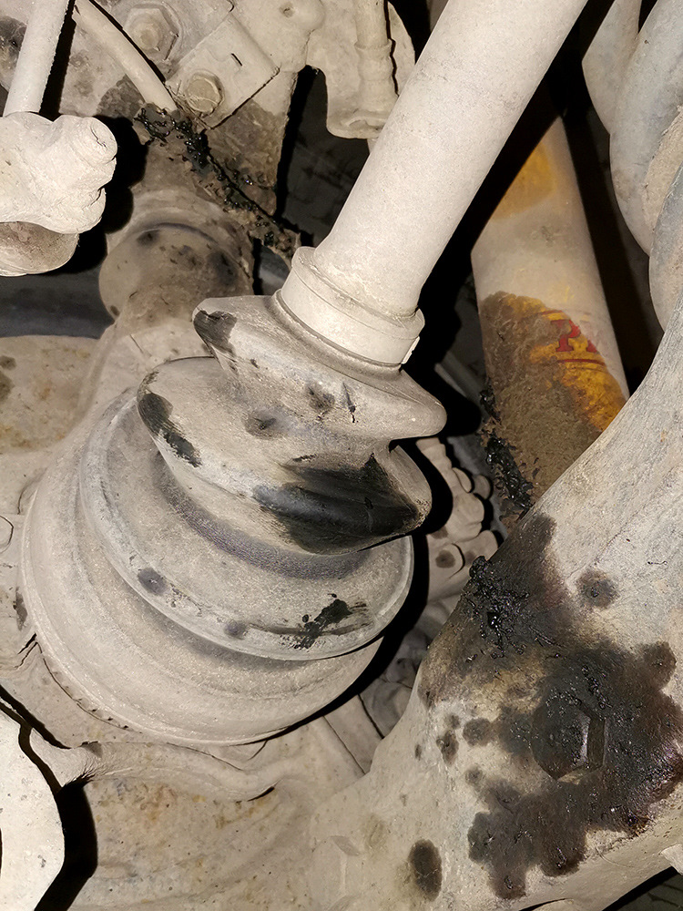 Собралась тетя Света на дальняк, или где взять пыльник шруса ...