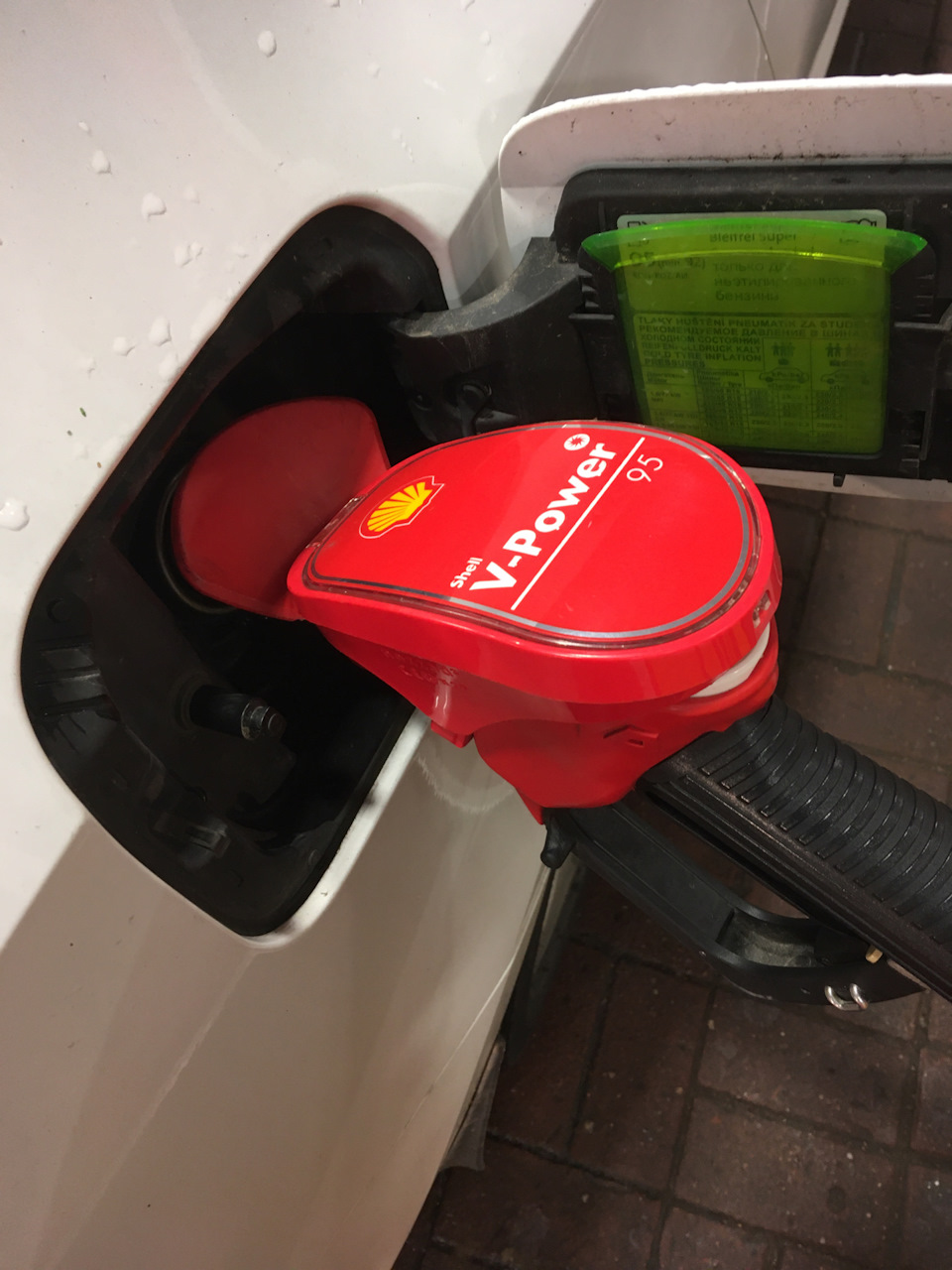 #3 Live: Rabbit в лесу — Skoda Rapid (1G), 1,6 л, 2015 года ...