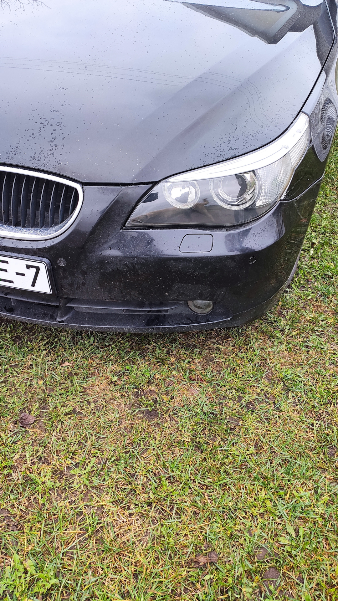 Починка парктроников и полирнули фары — BMW 5 series (E60), 3 л, 2003 года | своими руками | DRIVE2