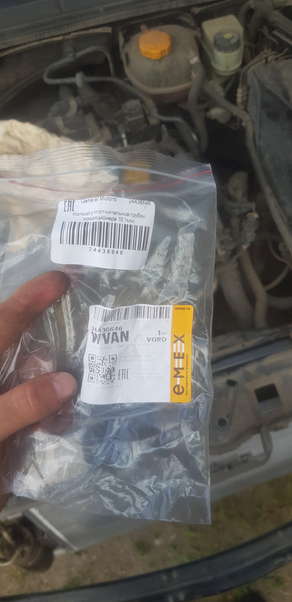 24436646 Уплотнительное кольцо трубки системы охлаждения GM | Запчасти ...