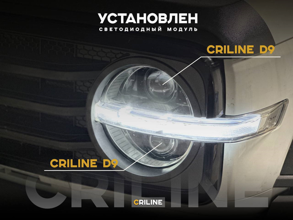 Criline Studio: отзывы, цены, фото