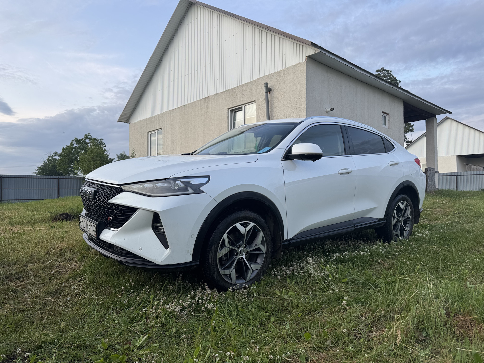 Взгляд на стиль HAVAL — Haval F7x (1G), 2 л, 2024 года | наблюдение | DRIVE2