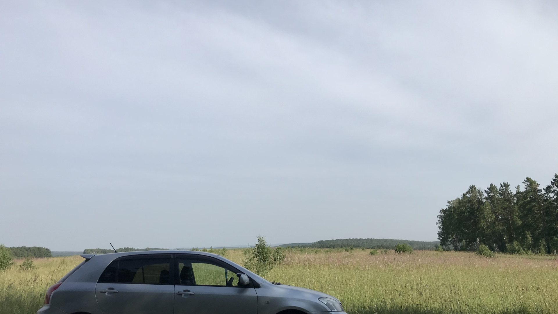 Toyota Corolla Runx 1 5 бензиновый 2002 на Drive2