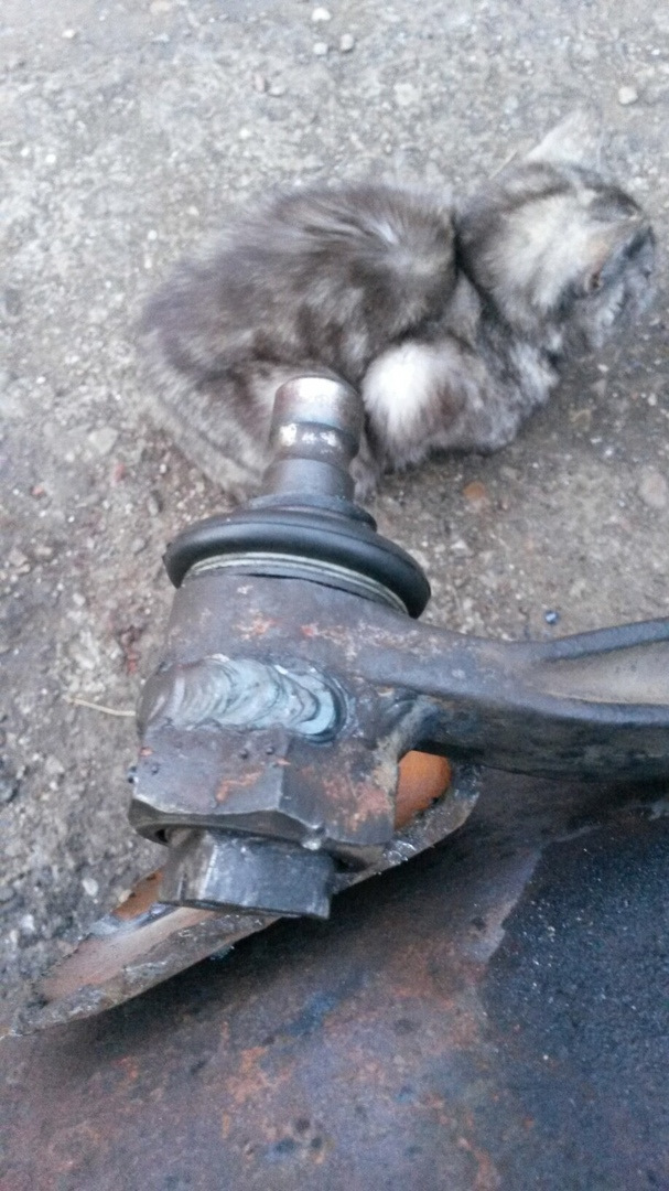 032121666 Прокладка фланца системы охлаждения VAG | Запчасти на DRIVE2