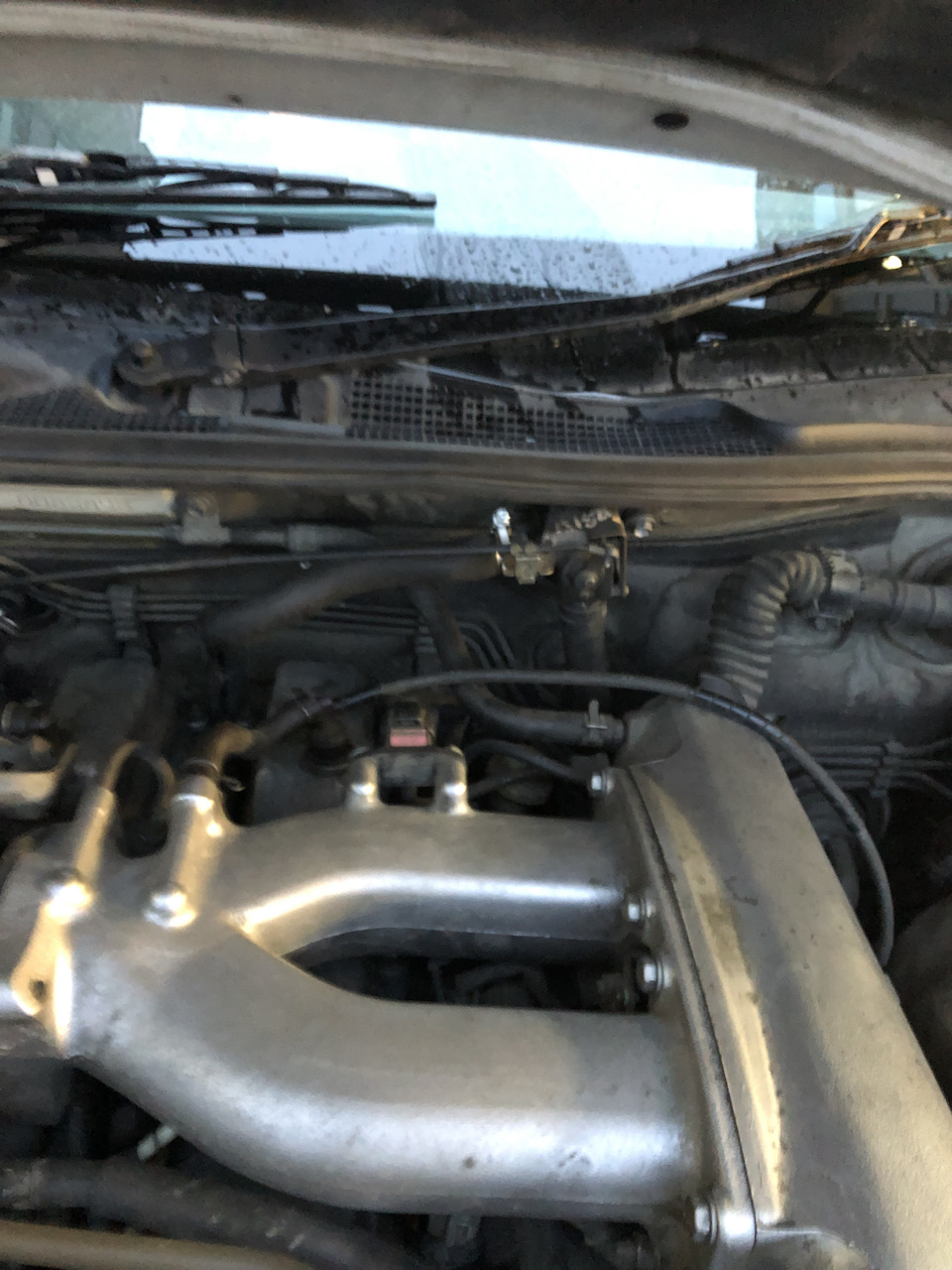 Драйвовские халявные наклейки — Renault Duster (1G), 1,5 л, 2019 года ...
