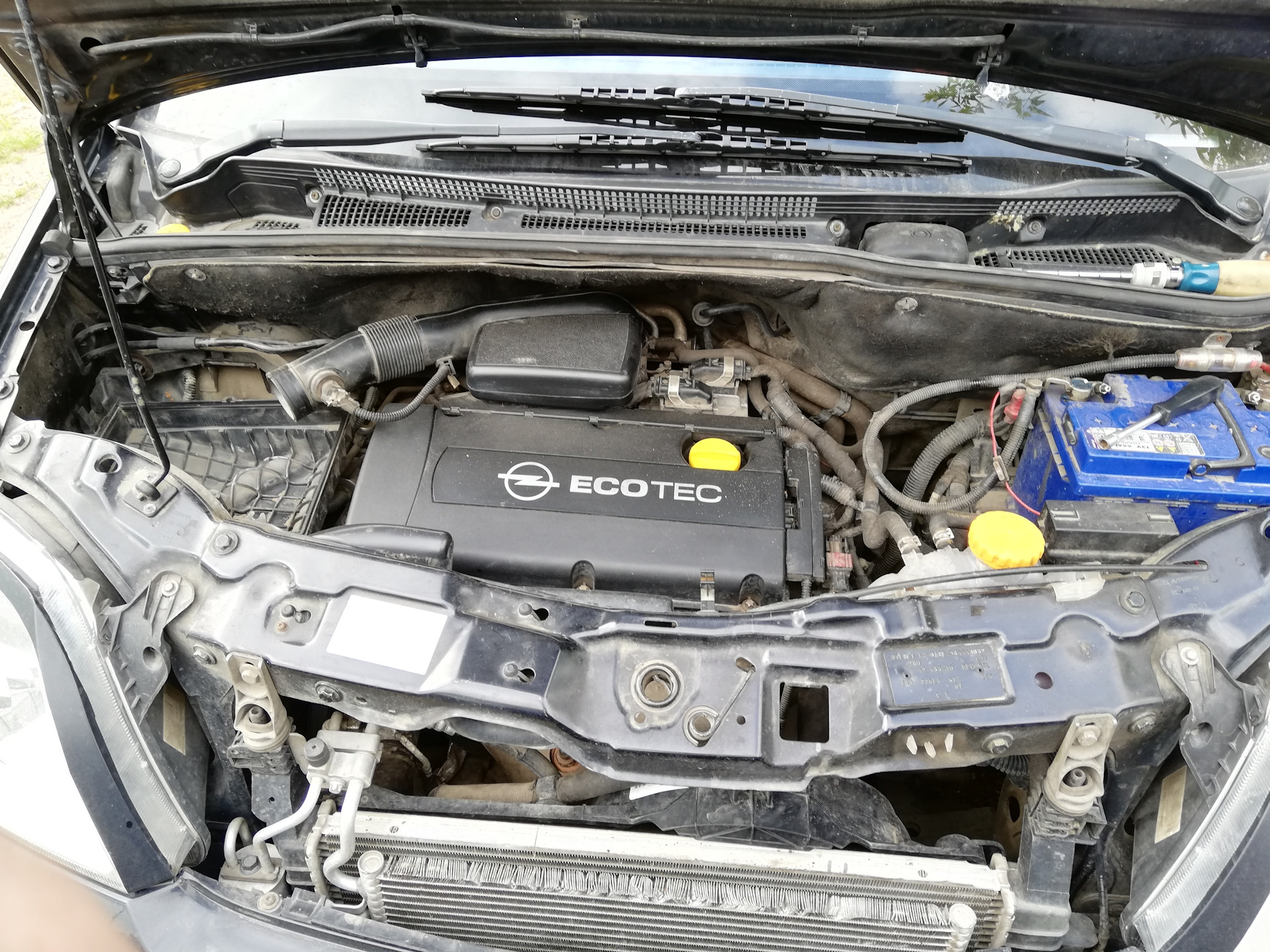 Небольшое ТО — Opel Meriva (A), 1,6 л, 2008 года | запчасти | DRIVE2