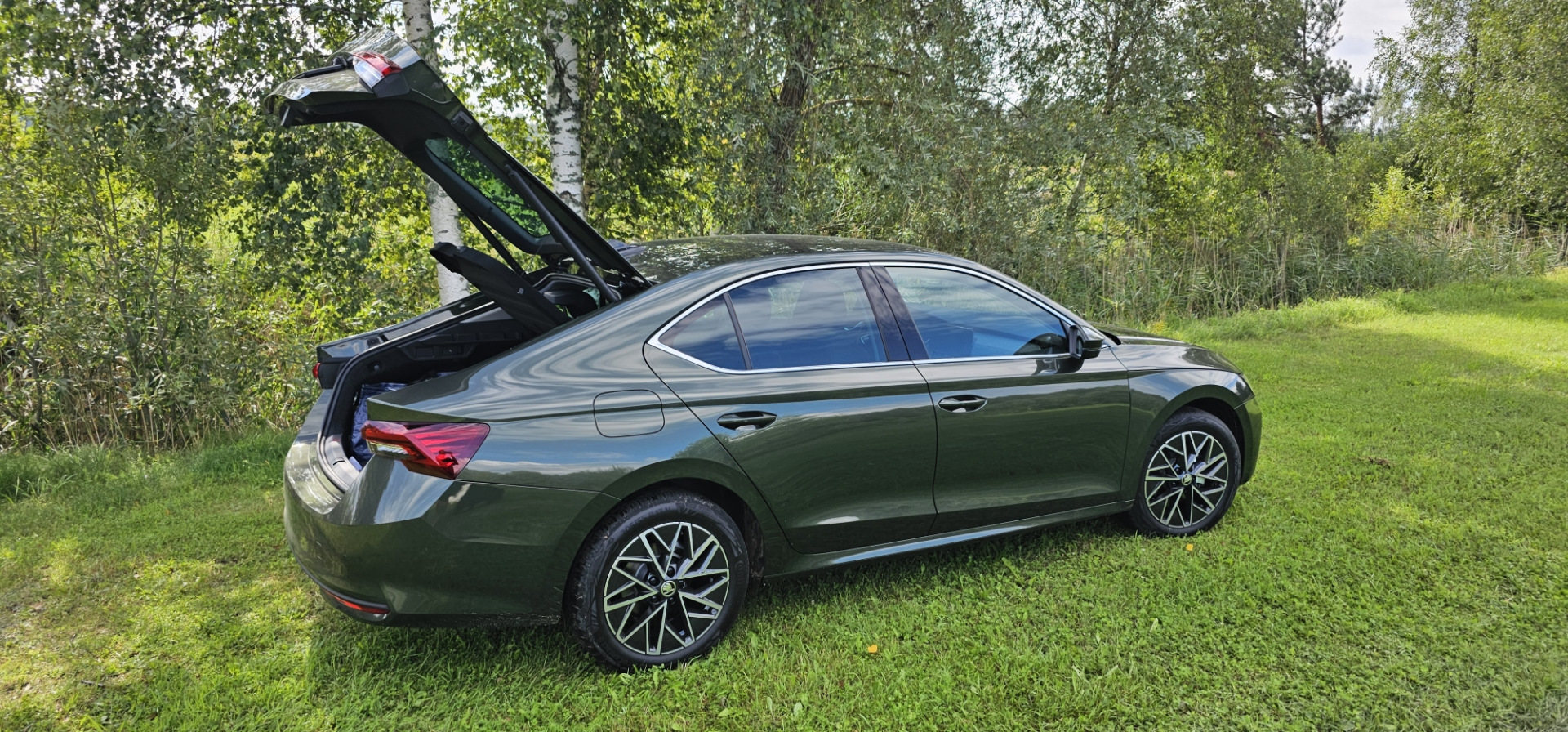 Неделя владения. — Skoda Octavia A8 Mk4, 1,5 л, 2024 года | наблюдение ...