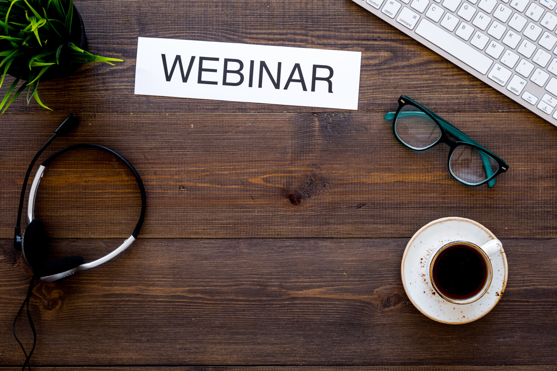 Вебинары от Делфай! — Delphi Россия на DRIVE2