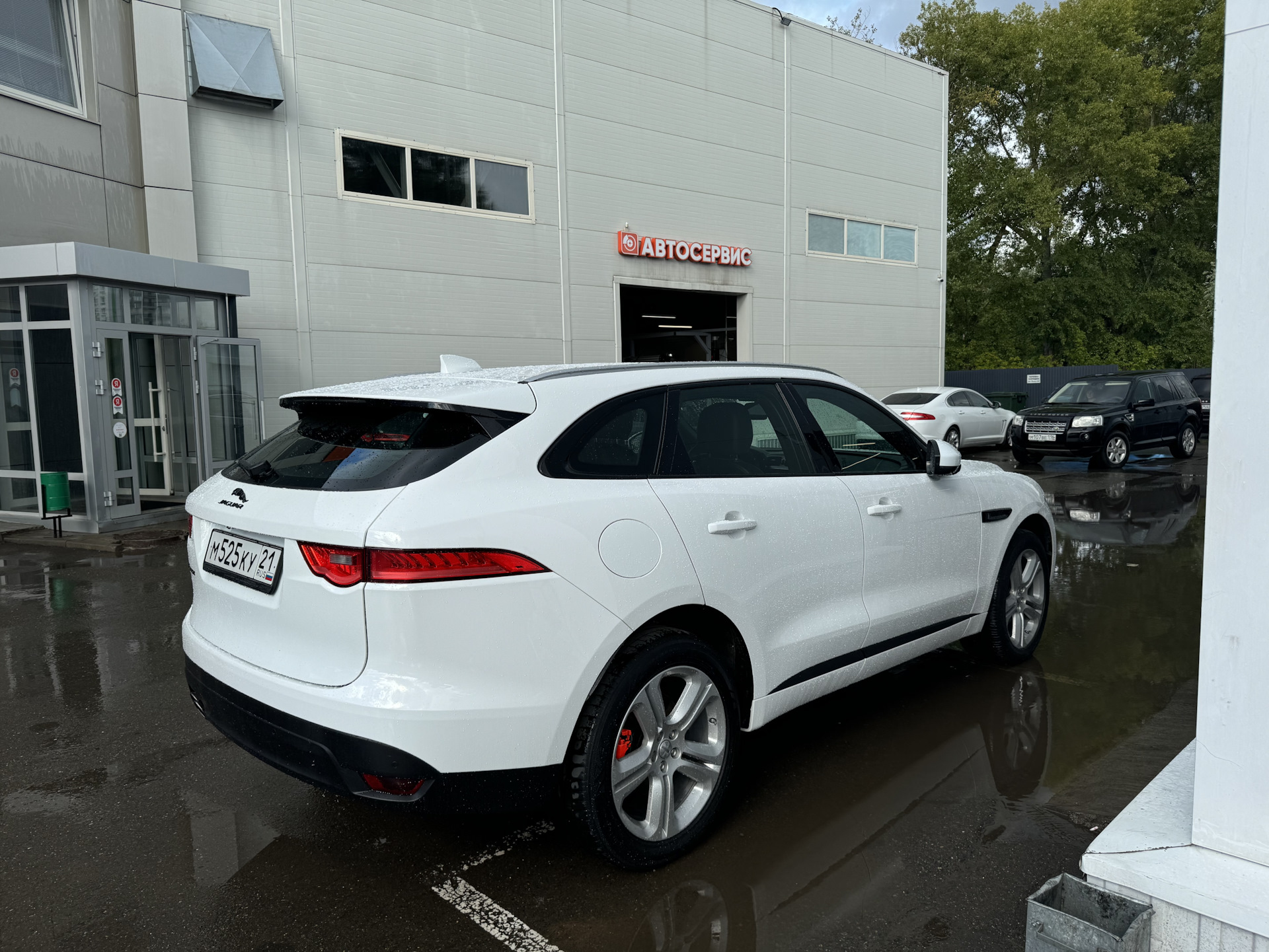 Замена подшипника передней ступицы — Jaguar F-Pace, 2 л, 2017 года | визит на сервис | DRIVE2