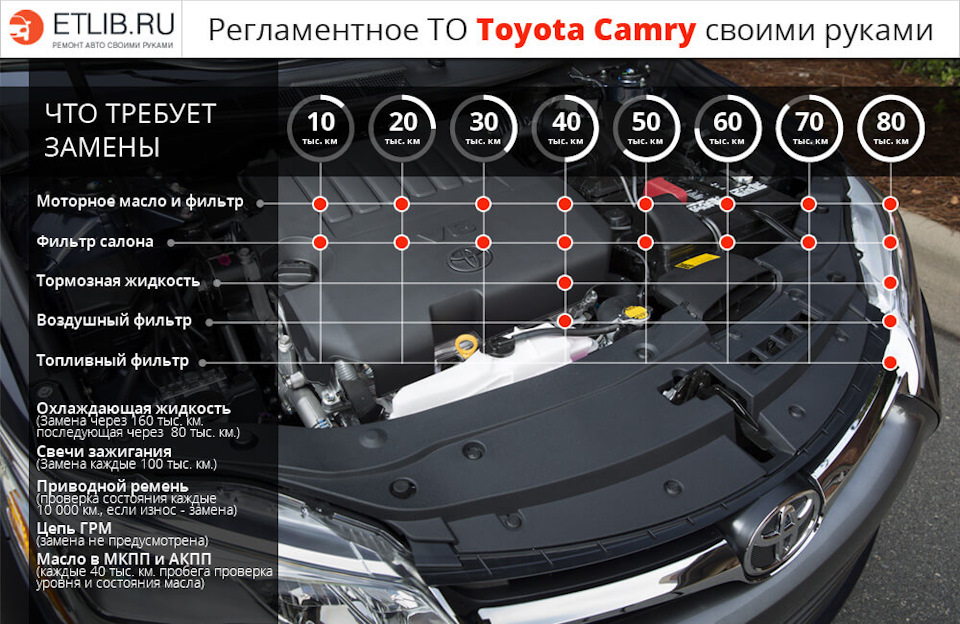 Расширенное ТО 180 тыс + феншуй — Toyota Camry (XV40), 3,5 л, 2007 года ...