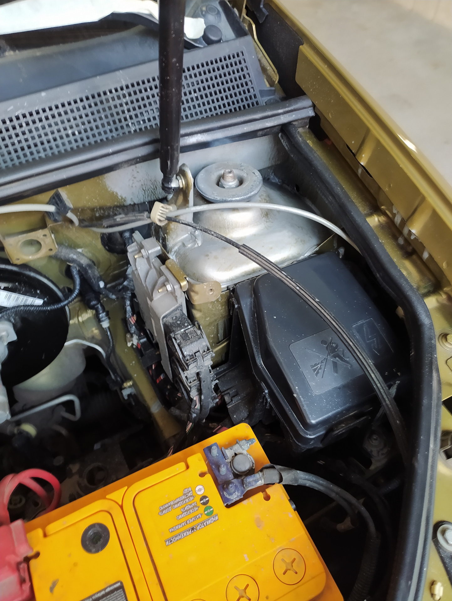 Антикор капота и стаканов на Рено Сандеро Степвей — Renault Sandero ...