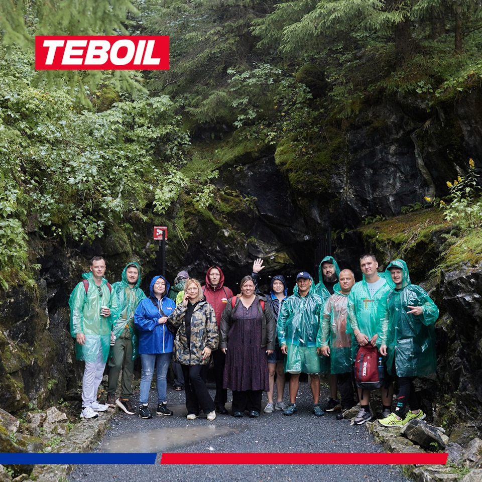 Teboil: отзывы, цены, фото