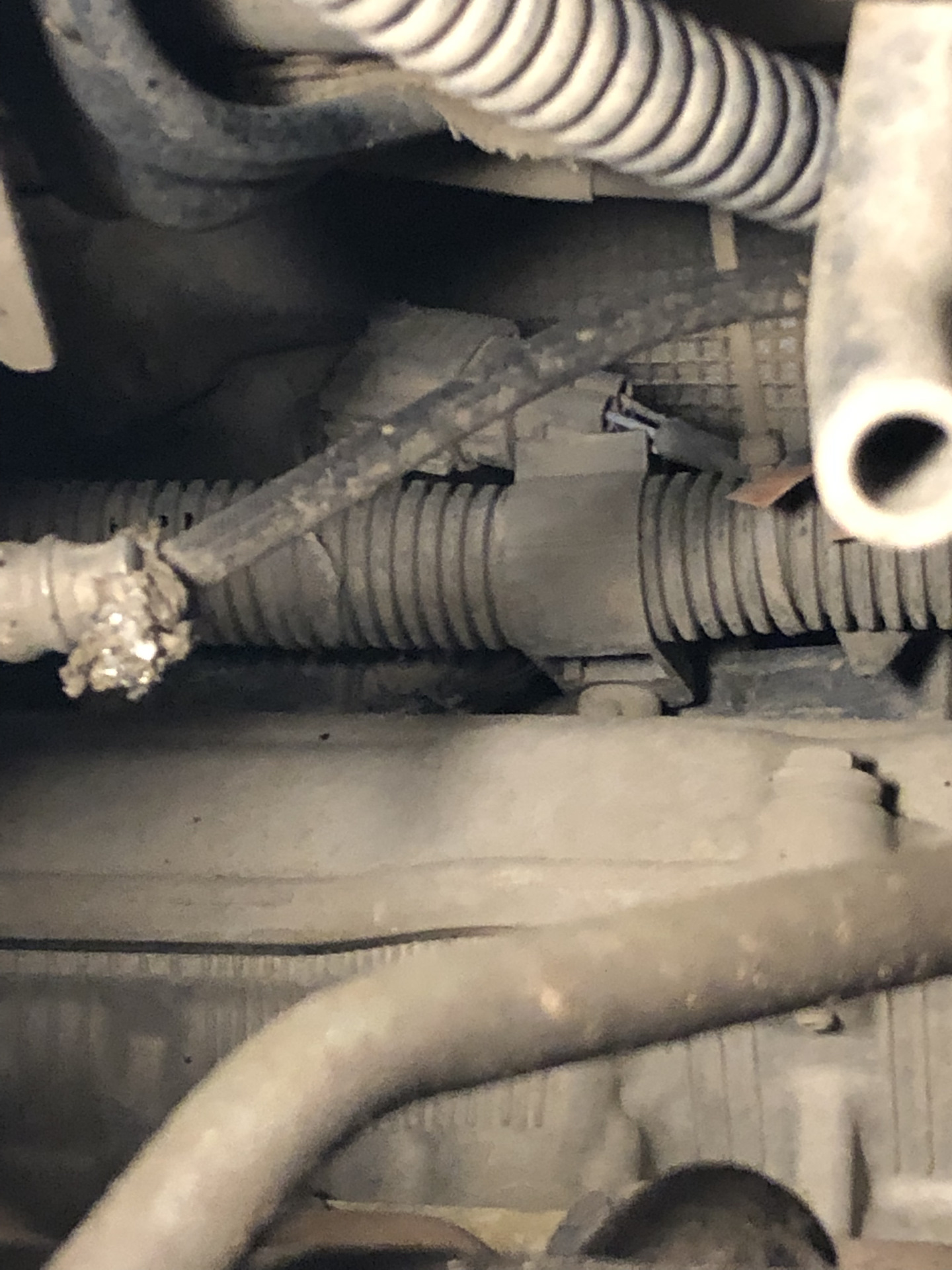 P1135 — Lexus RX (1G), 3 л, 2001 года | электроника | DRIVE2