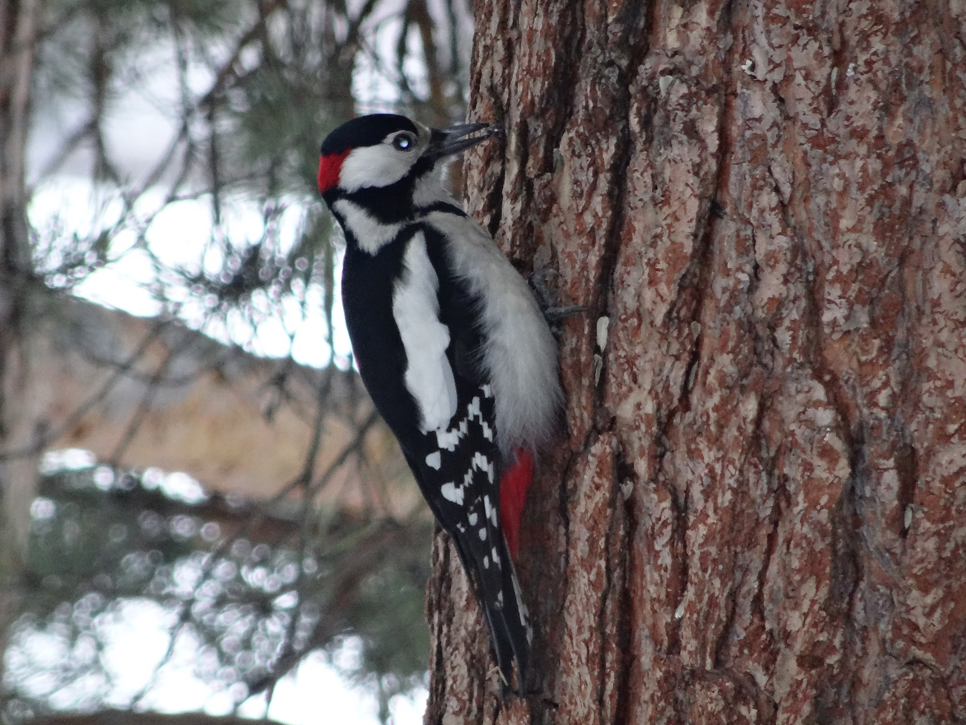 Замена кронштейна крепления бампера — Mitsubishi Lancer X, 1,5 л, 2007 ...