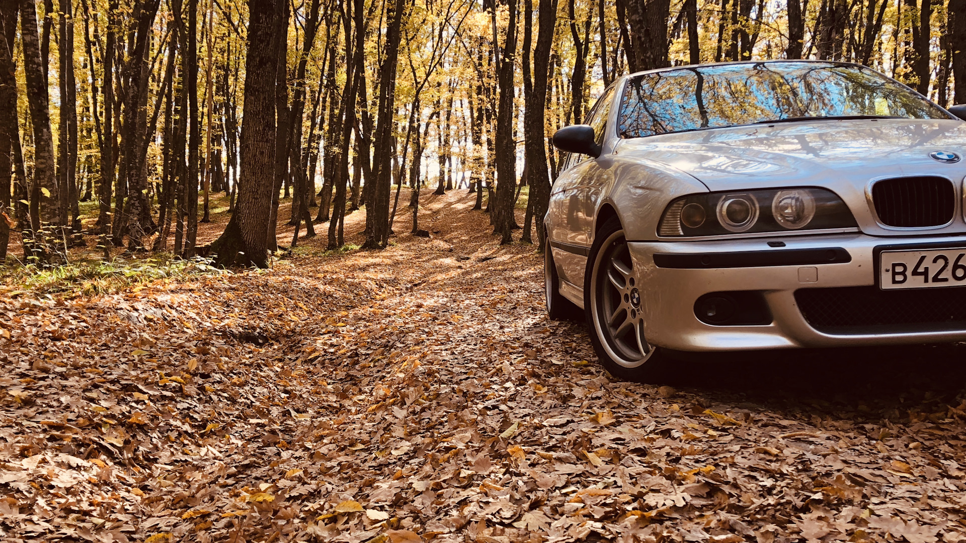 BMW 5 series (E39) 4.4 бензиновый 2001 | V8 b44 на DRIVE2