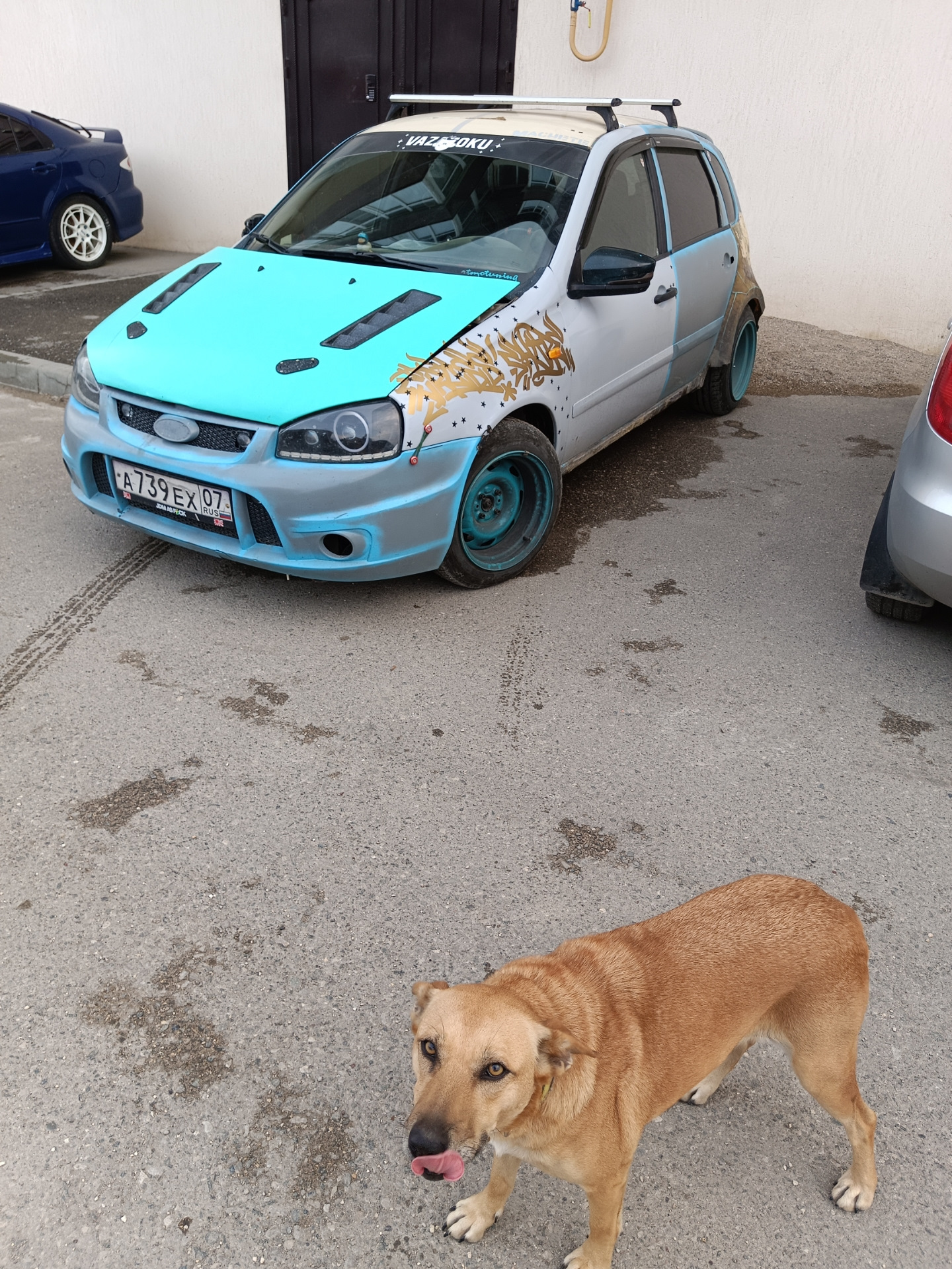 Покраска не моë, катаем в плëнку — Lada Калина Хэтчбек (1G), 1,6 л ...