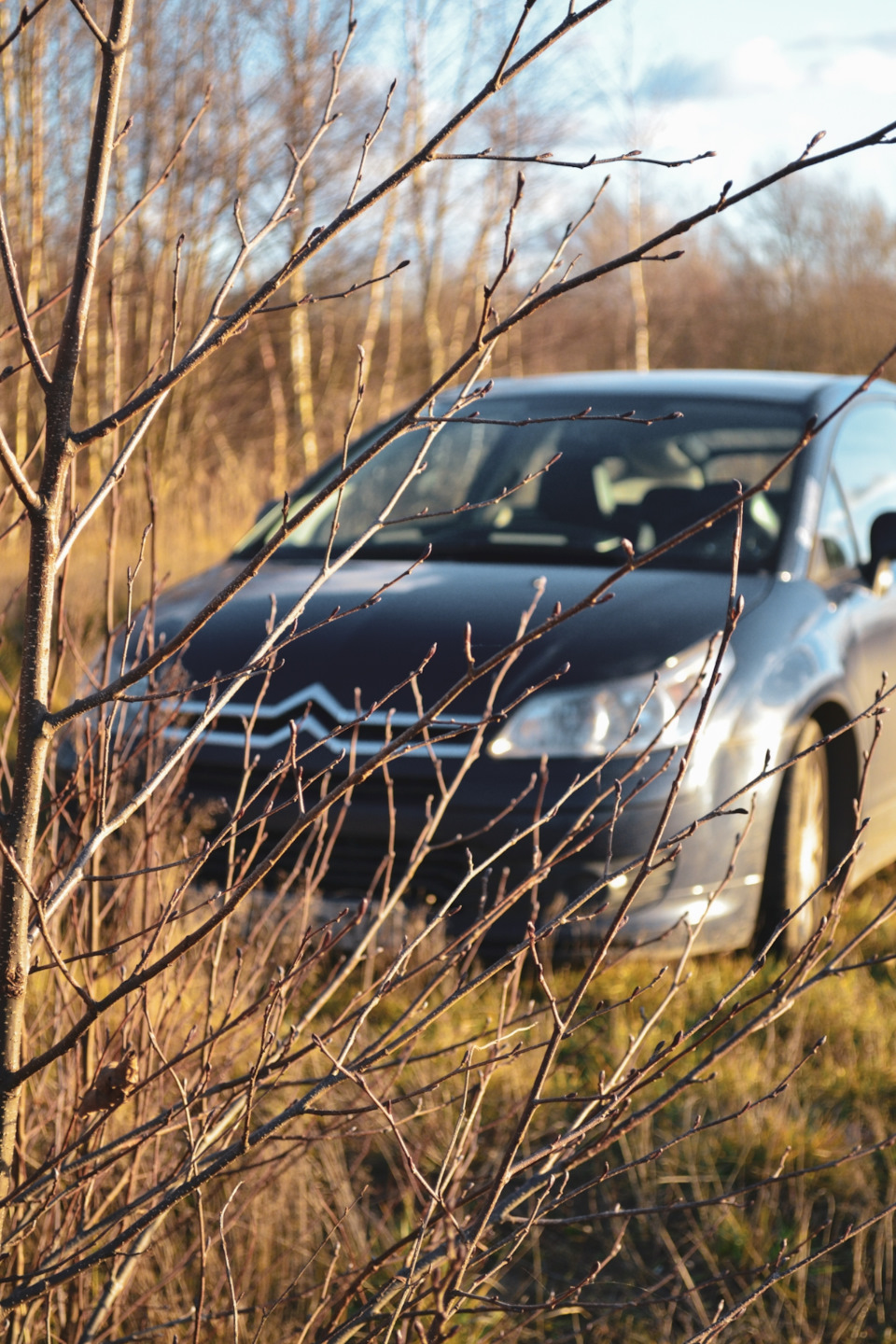 Вопрос по тормозам — Citroen C4 (1G), 1,6 л, 2007 года | наблюдение ...