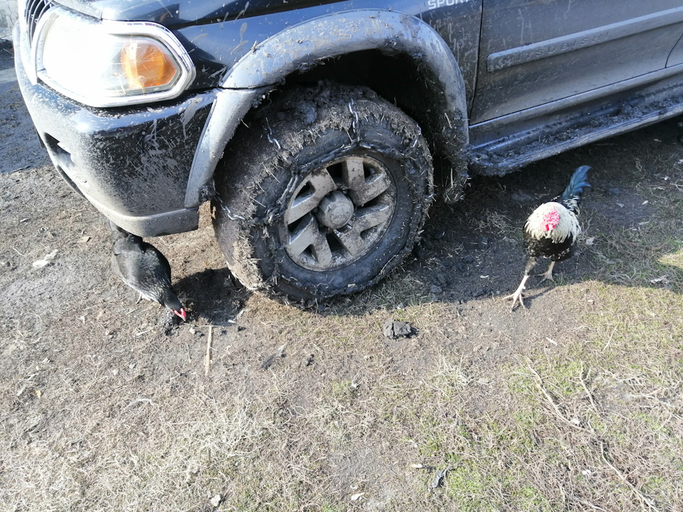 Цепи "соты" — Mitsubishi Montero Sport, 3 л., 2001 года | аксессуары ...
