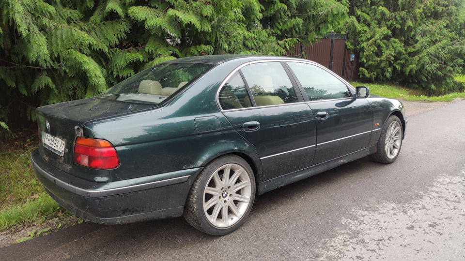BMW 5 series (E39) 3.0 дизельный 1999 | E39 530D Oxford-green 2 на DRIVE2