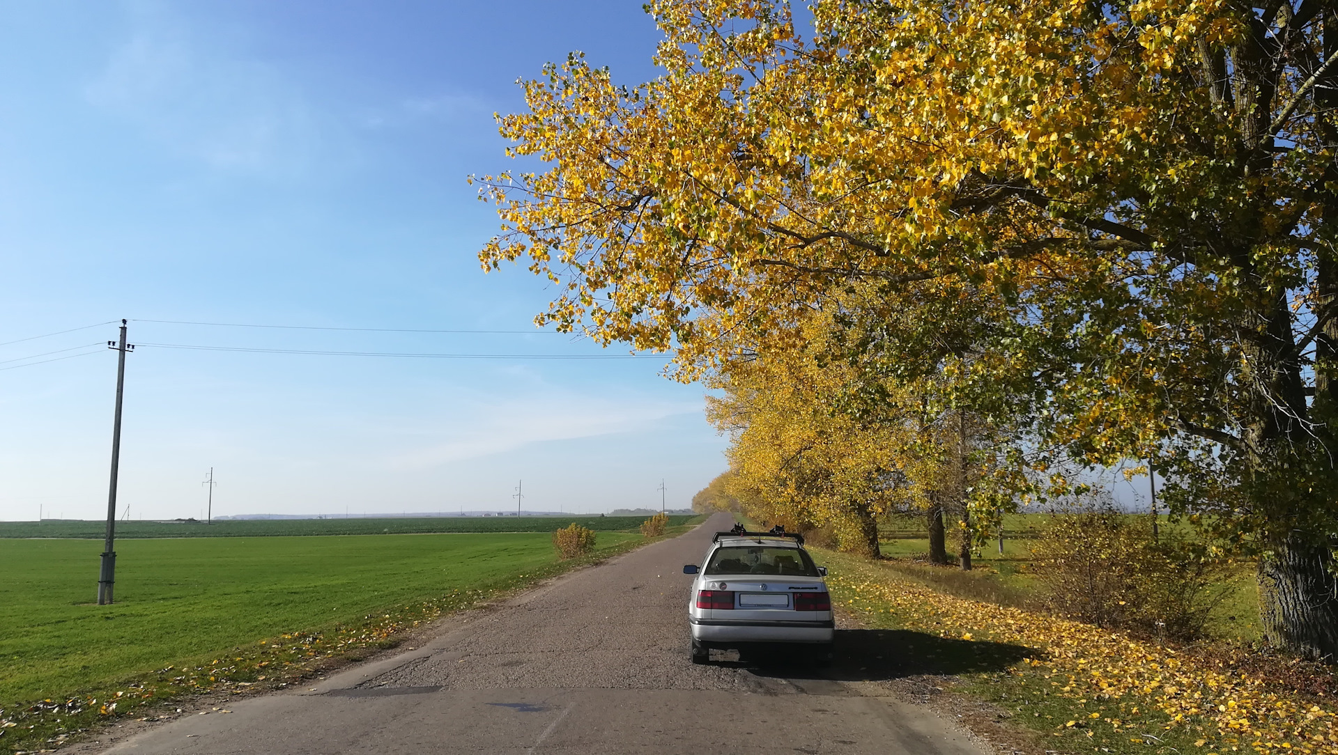 Прокладка клапанной крышки ТАГАЗ — Hyundai Elantra (3G), 1,6 л, 2009 ...