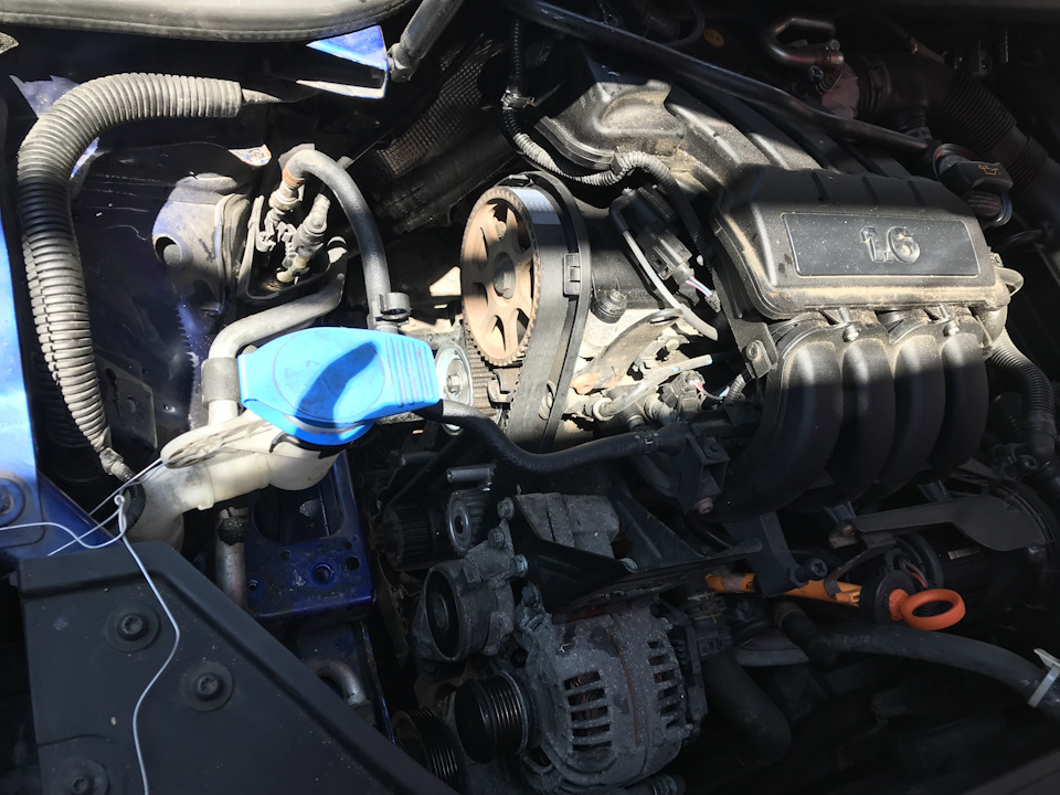 Замена ремня ГРМ — Volkswagen Golf Mk5, 1,6 л, 2005 года | своими ...