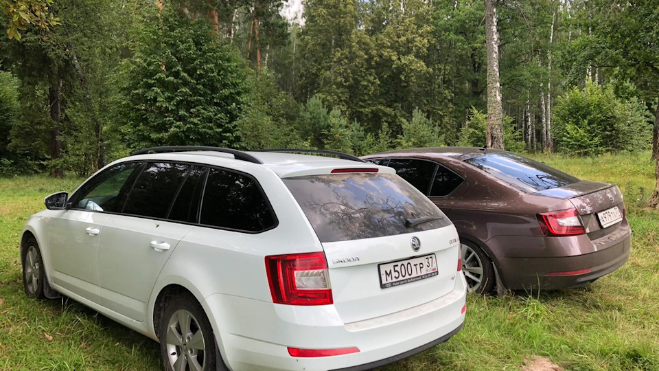 Масло в HALDEX 5 — Skoda Octavia Combi A7 Mk3, 1,8 л, 2015 года ...