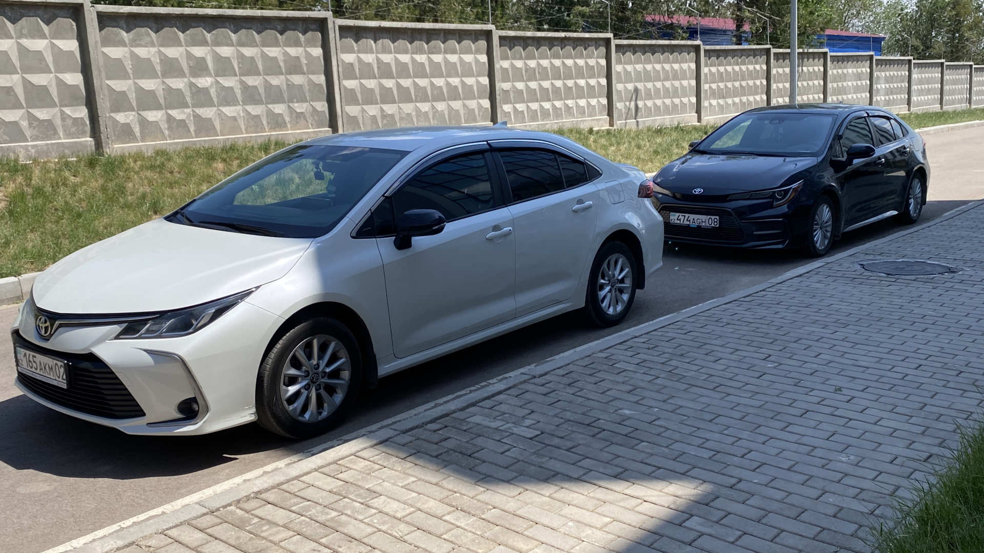 Toyota Corolla (E210) 2.0 бензиновый 2020 | Малыш-MONSTER на DRIVE2