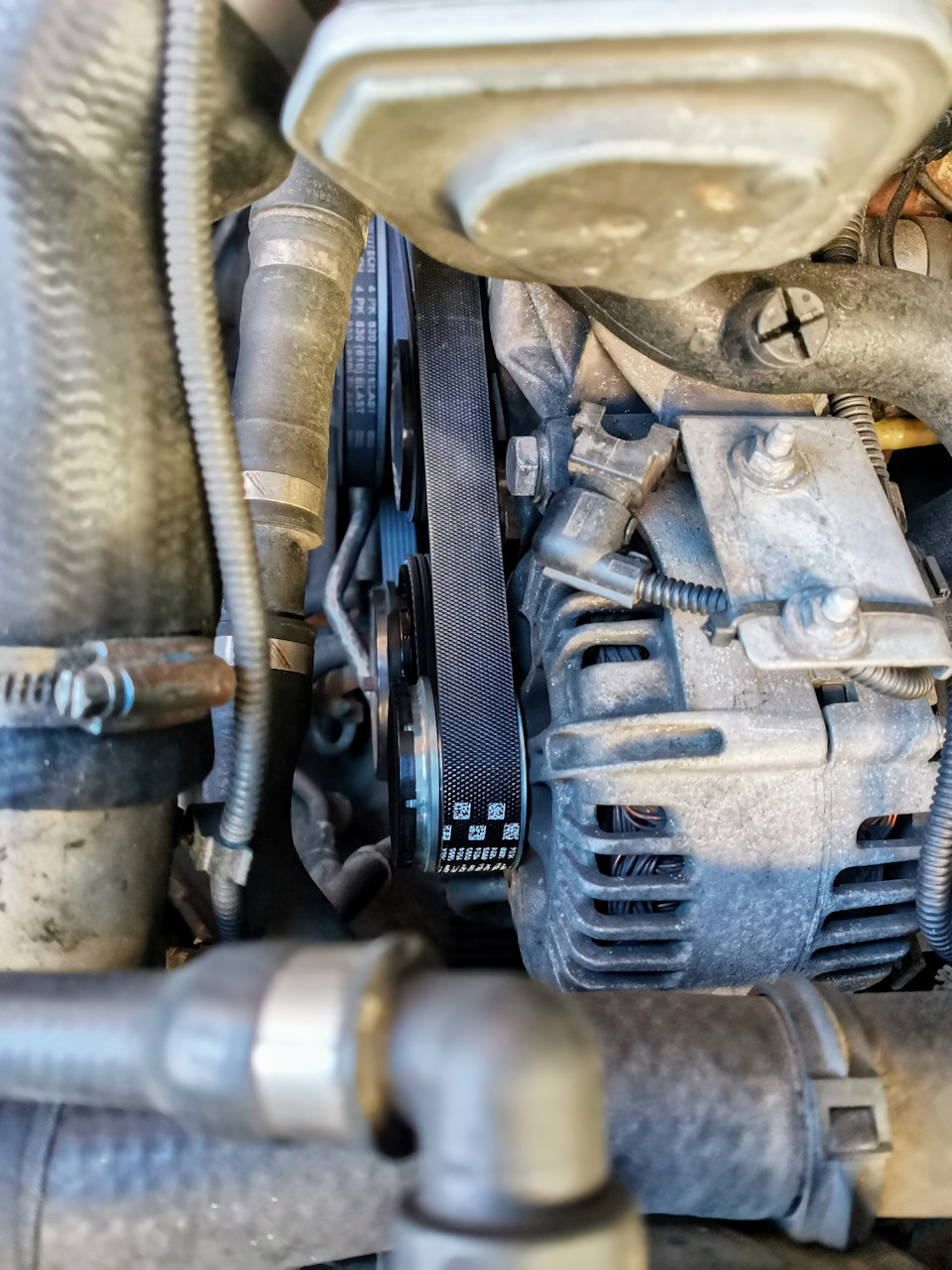 Фото — Mercedes-Benz CLS (W219), 5 л, 2004 года | фотография | DRIVE2