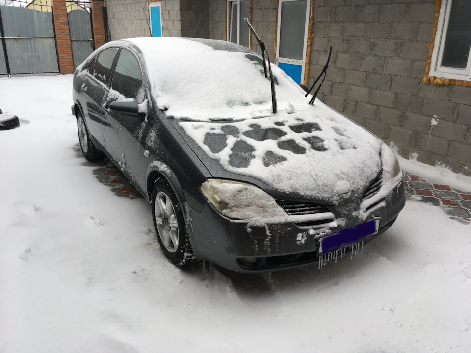 Расстование — Nissan Primera (P12), 2 л, 2002 года | другое | DRIVE2