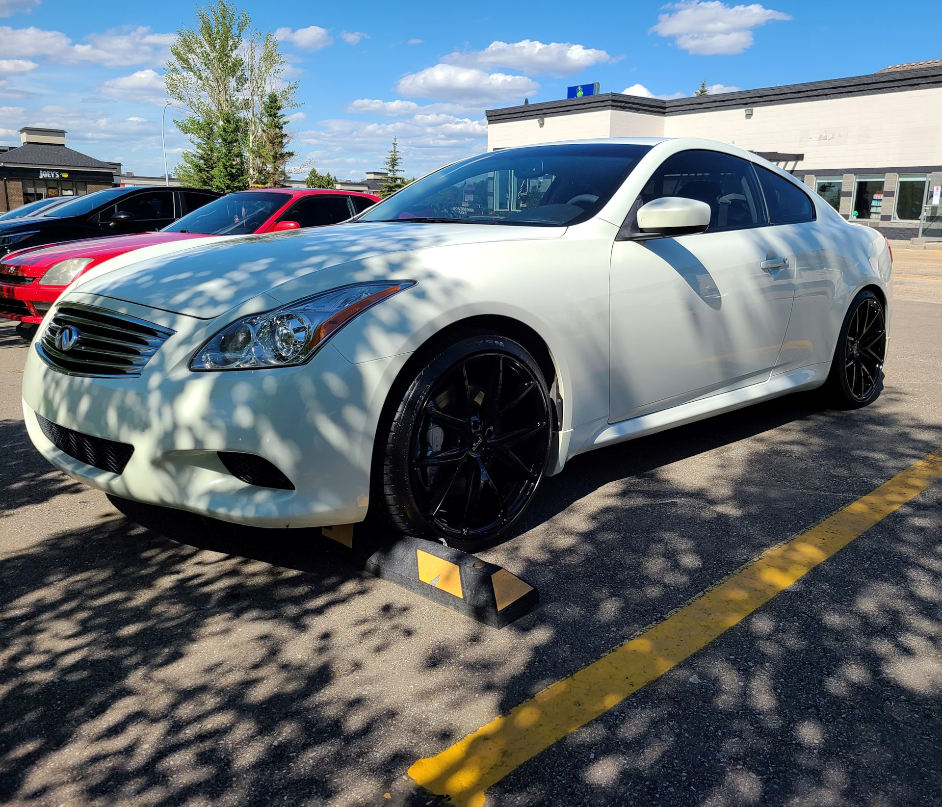 niche misano m119 + nexen — n'fera su1 — Infiniti G37 Coupe, 3,7 л ...