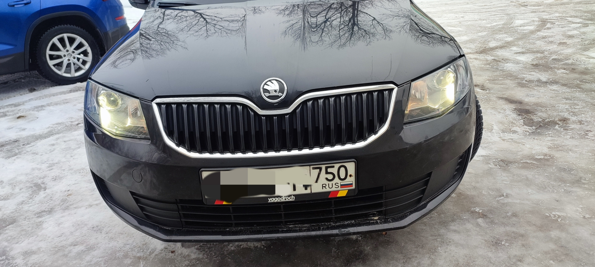 Теплые bi led линзы в октавию а7 — Skoda Octavia A7 Mk3, 1,6 л, 2014 ...