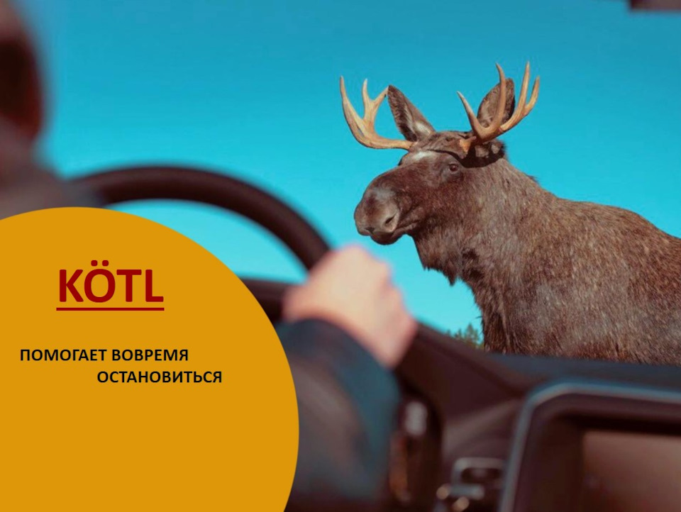 Kotl: отзывы, цены, фото