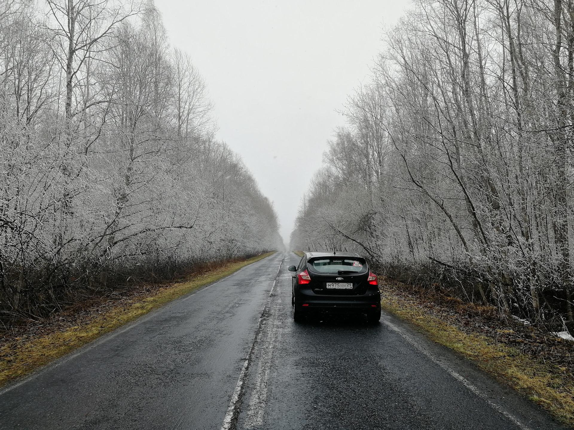 Запчасти для ремонта мотора — Ford Focus Hatchback III, 1,6 л, 2014 ...