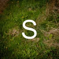 engine fault workshop на фабия 2 1.4тди 80лс — DRIVE2