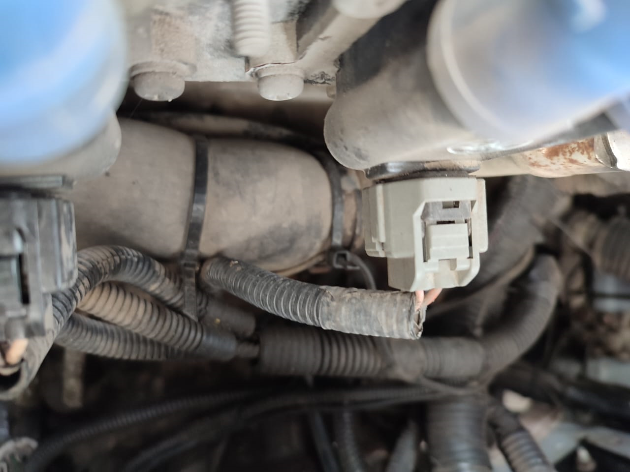 Замена нижнего патрубка радиатора. — Chevrolet Lacetti Sedan, 1,6 л ...