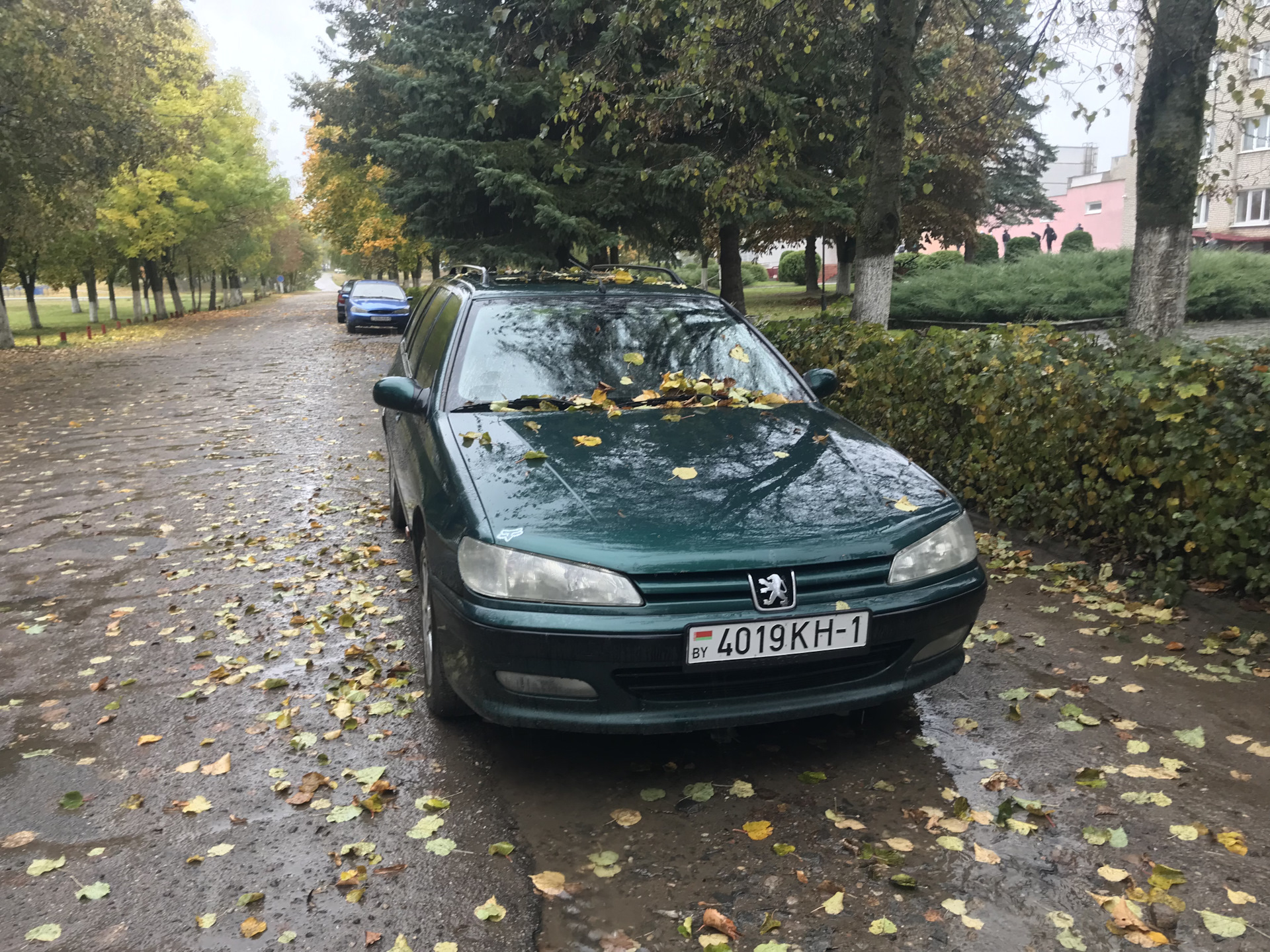 HELP! С выбором масла на 1.9TD — Peugeot 406, 1,9 л, 1997 года ...