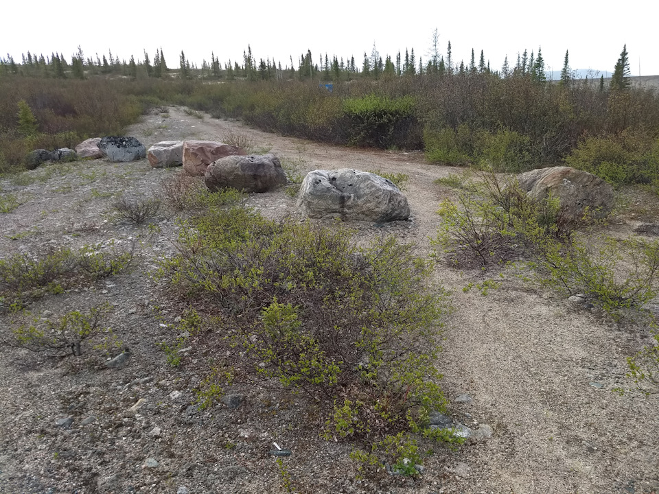 Замена комплекта цепи ГРМ на моторе M272 — Техцентр «Dynamic Drive» на DRIVE2