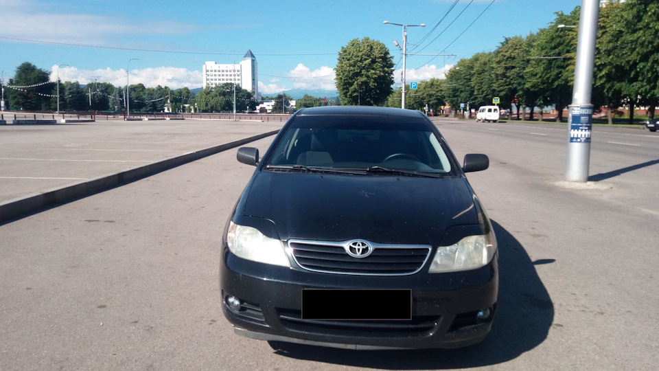 Toyota Corolla (120) 1.6 бензиновый 2018 | на DRIVE2