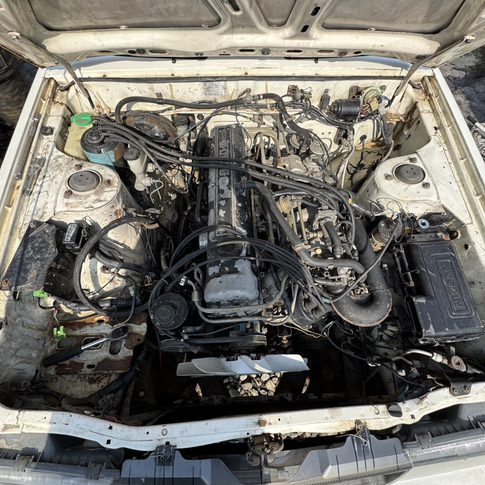 Первая мойка за последние 15 лет — Nissan Leopard (F30), 2 л, 1983 года ...