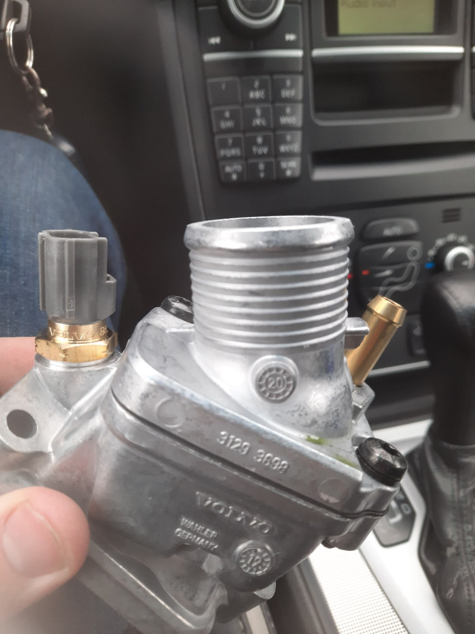 31293699 Термостат Volvo | Запчасти на DRIVE2