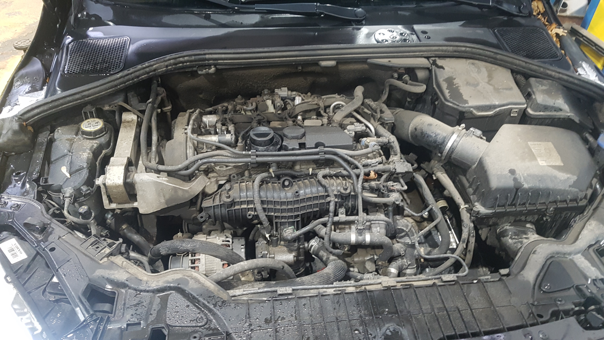 Клонирование ECM Denso VEA Volvo P3, SPA — GUGGSERVICE на DRIVE2